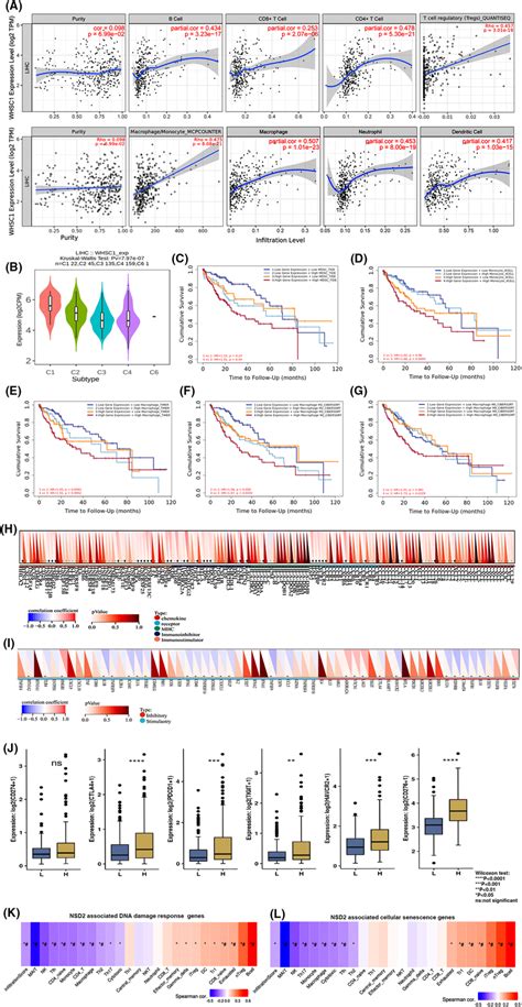 The Correlation Of Whsc1 Expression With Immune Infiltration Level In Download Scientific