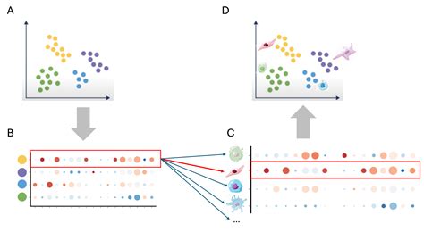 Cell Type Annotation