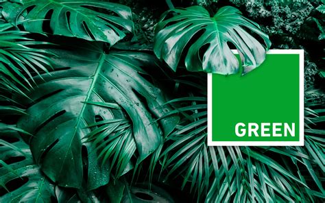 All About Green Origin Theory Design Applications And Color Schemes