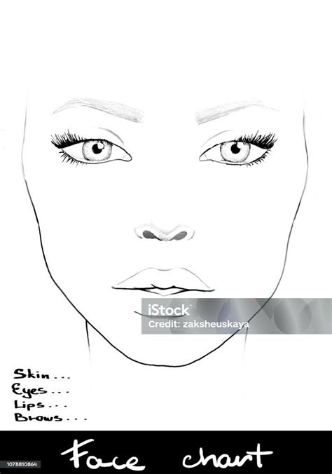 메이크업 아티스트 빈 얼굴 차트입니다 아름 다운 여자 초상화입니다 얼굴 차트입니다 메이크업 아티스트 빈입니다 템플릿입니다 디자인에 대한 스톡 벡터 아트 및 기타 이미지