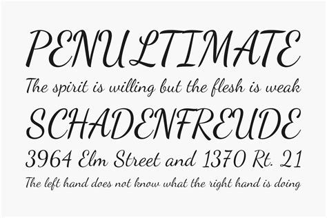 Dancing Script OT Fonts Shmonts