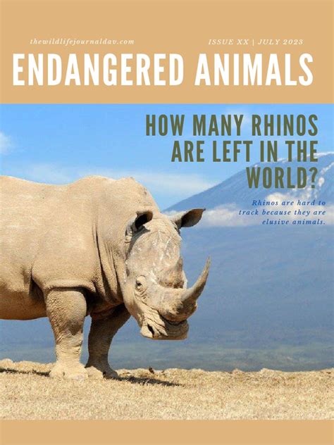 Yellow And Tiger Nonfiction Magazine Cover Pdf Rhinoceros