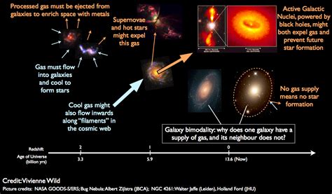 Solved Describe Galaxies And The Materials That Can Be Found In Them Course Hero