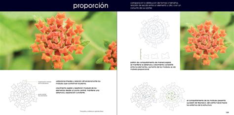 Bionic Design Principles On Behance
