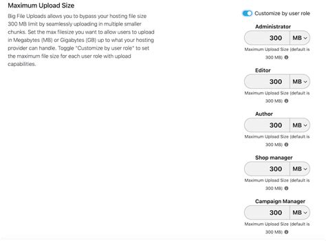 9 Best File Upload Plugins For Wordpress Expert Ranking