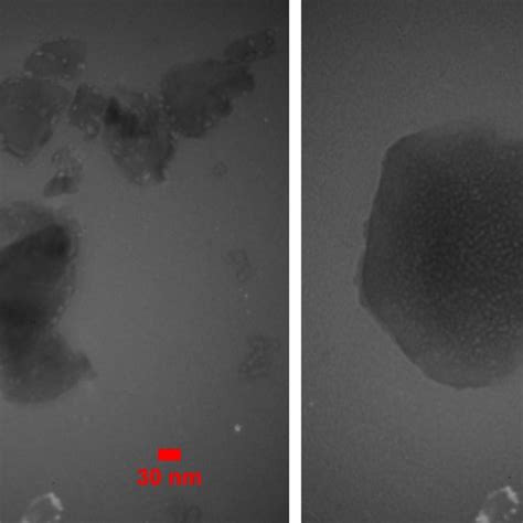 Ft Ir Spectra Of Polycaprolactone Pcl Memantine Mem And Download Scientific Diagram
