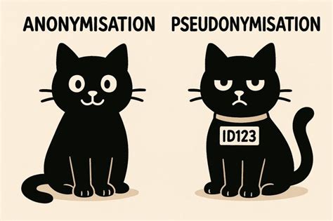 Understanding Anonymisation And Pseudonymisation In Nz Threeblackcats Posted On The Topic