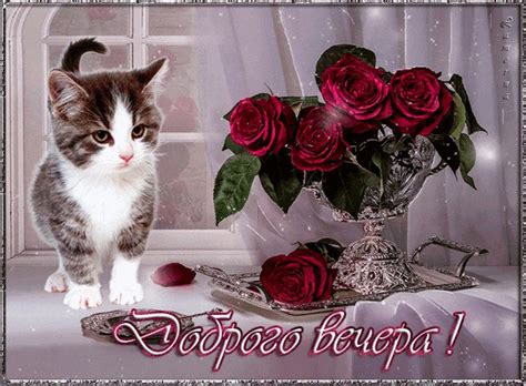 Красивые анимированные открытки с пожеланием Доброго вечера