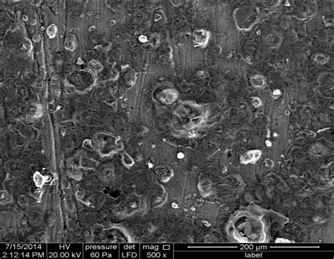 SEM images of a MS surface b MS in 1 0 M HCl c MS in 200 µm Download Scientific Diagram