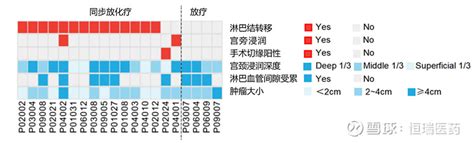 2023 Asco年会︱新辅助化疗联合恒瑞创新药卡瑞利珠单抗治疗局部晚期宫颈癌单臂ii期研 2023年美国临床肿瘤学会（asco）年会上