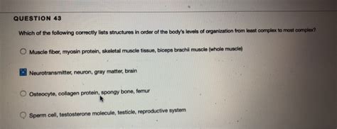 Solved Question 43 Which Of The Following Correctly Lists