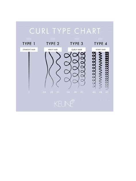 Curl Chart Pdf