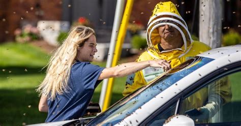 벌 떼 조심하세요”캐나다 고속도로에 꿀벌 수백만마리 쏟아져