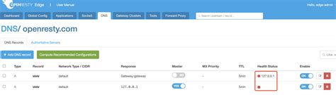 DNS Workflow OpenResty Inc Documentation