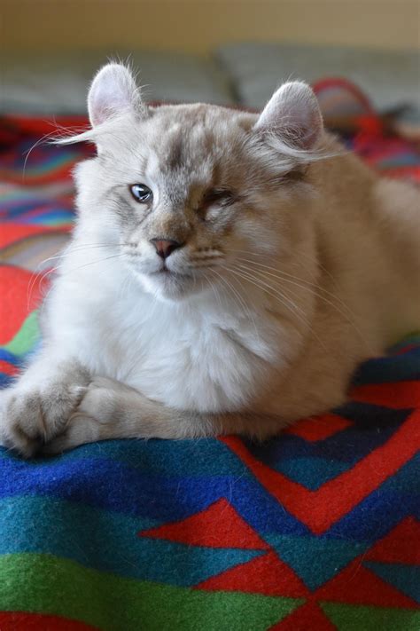 1021 Best Bear Cub Images On Pholder Hardcoreaww Aww And Nature Is