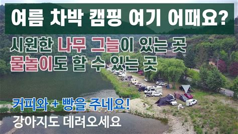 여름 차박여름 캠핑캠핑 차박나무그늘물놀이수세식화장실강아지애완견 Youtube