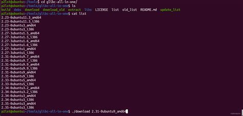 Pwn选手配置ubuntu环境glibv All In One换源 Csdn博客