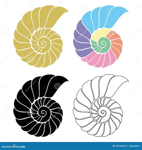 Seashell Nautilus Stock Vector Illustration Of Vector 18716518