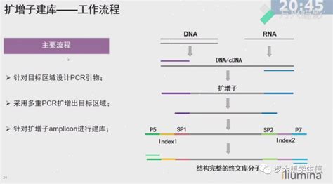 Ngs流程 流程 大山谷图库