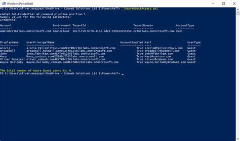 Getting Azure Ad Guest Users With The Azure Ad Preview