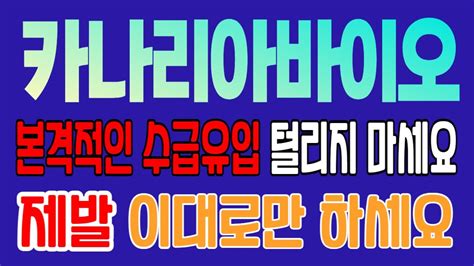 주식 카나리아바이오 본격적인 수급유입 털리지 마세요 제발 이대로만 하세요 카나리아바이오 카나리아바이오주가 Youtube
