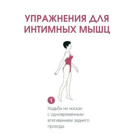 Интимная гимнастика 🔞Онлайн On Instagram “Не рекомендуется выполнять данные упражнения при