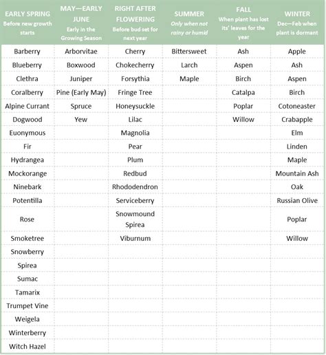 Tree And Shrub Pruning Guide Heidi S GrowHaus Lifestyle Gardens
