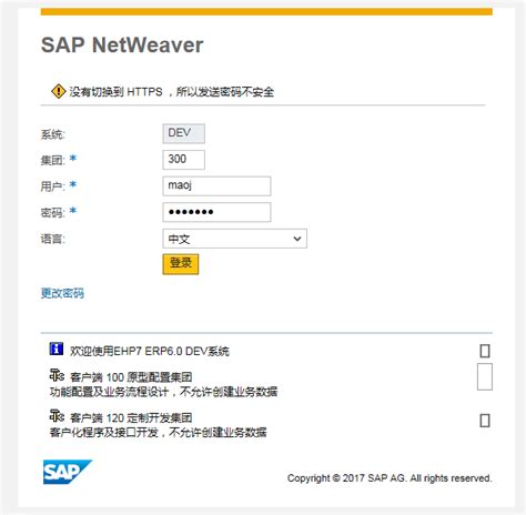 启用sap Gui For Html Csdn博客
