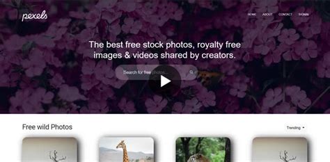 Webdevelopment Css Hovereffects Learningjourney Ajai Krishna M