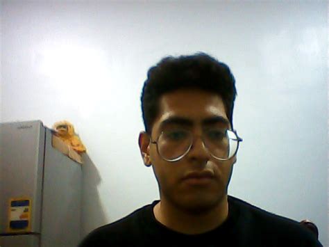 Yolo Object Detection Dataset V1 2023 06 11 855am By Custom Yolov5