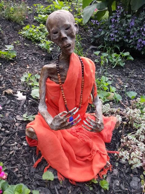 Rare Mummified Monk Pygmy Oddity Museum Exhibit Sideshow Gaff Etsy