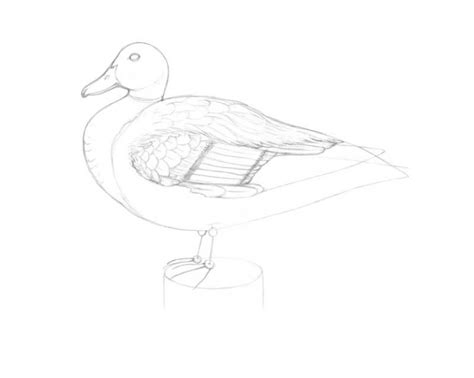 How To Draw A Duck With Ink And Water Soluble Tinted Graphite Pencils