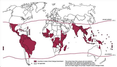 뎅기열·서나일열병 등 지구적 확산
