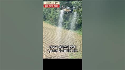 단무지밭 생육초기 방제 1000평당 20리터 살포 방제드론 방제입문 드론추천 비료드론 드론자격증 Dji T40 T50 Afx40 Affx Km45