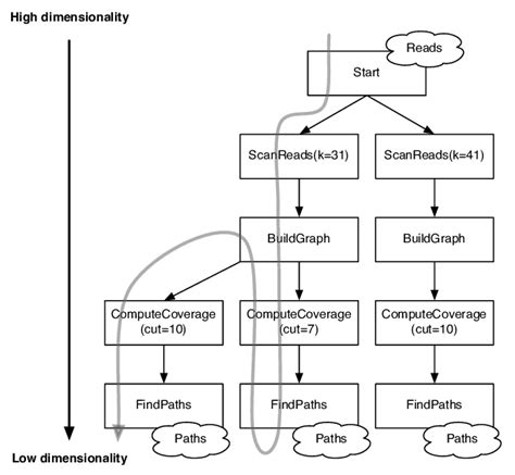 The Internal Data Flow Of A Hypothetical Genome Assembler The Grey Download Scientific Diagram