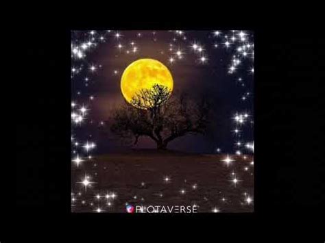 戀你在紅塵作詞方海燕作曲歌樂美天籟天之歌雪卿唱歡迎登記謝謝關注和聆聽 YouTube
