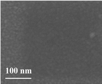 FE SEM Image Of The Surface Of A NaCl Particle After Sputtering With Pt Download Scientific