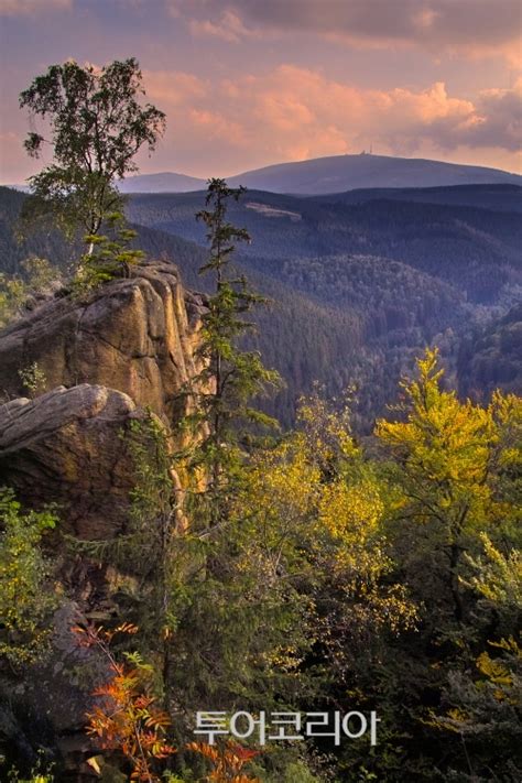 독일 마녀길 걸으며 전설에 빠져 들고 알프스 풍경에 반하다 투어코리아 No1 여행·축제 뉴스