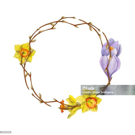 봄 꽃 수선화 크로커스 헌병 가지가 있는 수채화 손으로 그린 원형 화환 흰색 배경에 격리 초대장 결혼식 인사말 카드 벽지 인쇄 섬유를 위한 디자인 0명에 대한 스톡 벡터