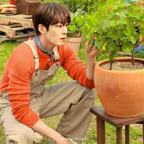 صور ممثلين كوريين