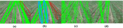 image‐based crop row detection utilizing the hough transform and dbscan clustering analysis
