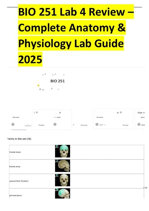 Bio 251 Lab 4 Review Complete Anatomy And Physiology Lab Guide 2025
