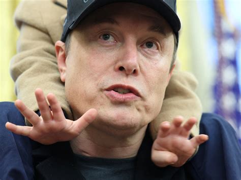 “아기 만들기가 부업”…머스크 아이 출산 주장 여성 또 등장