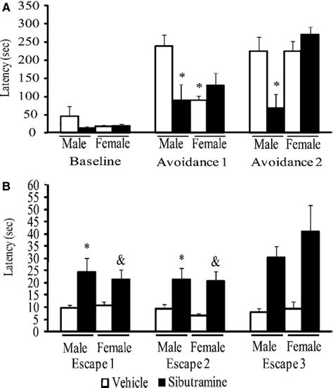 Evaluation Of The Effect Of Acute Sibutramine In Female Rats In The Elevated T‐maze And Elevated