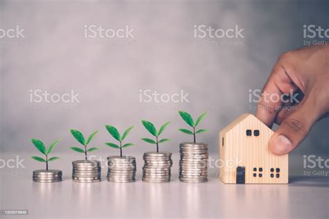 부동산 과 성공을위한 돈을 절약 동전과 나무의 스택 잎 보험 주택 예금 및 재산 주거 및 금융 비즈니스 개념과 금융 및 투자 가계에 대한 스톡 사진 및 기타 이미지 Istock