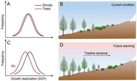 Warming Induced Phenological M Image Eurekalert Science News Releases