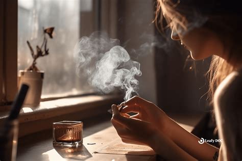 Master Dab Pen Maintenance Essential Tips Leafy Doc