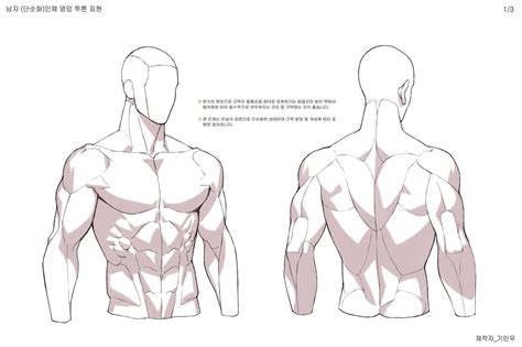 남자 등 근육 자랑하고 싶은 당신을 위한 5가지 운동 방법