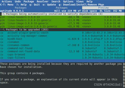 Aptitude Debian Gnulinux 软件包管理工具aptitude Install Csdn博客