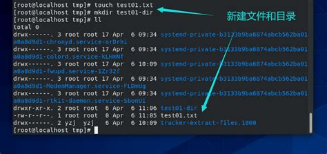 Linux实验三： 文件和目录的访问权限用户组群与文件目录权限管理 实验 Csdn博客